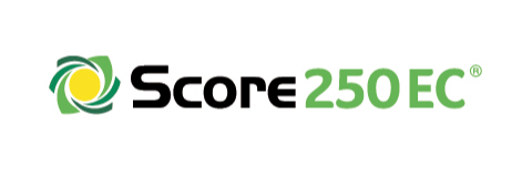 Fungicida Score 250 EC | Syngenta, agricultura responsável