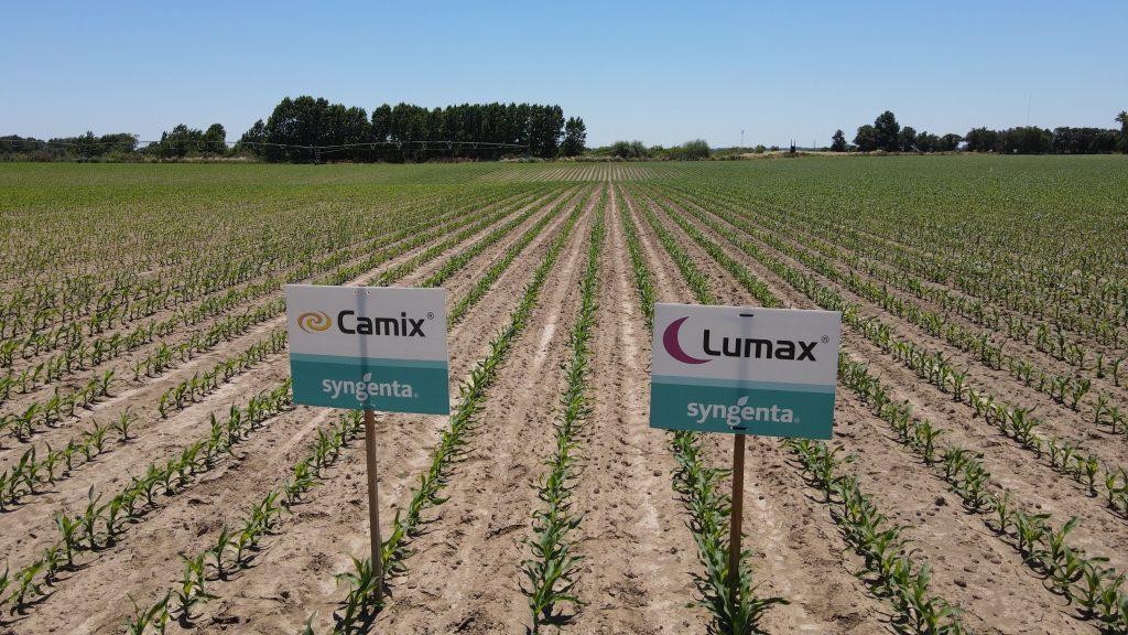 Venha visitar-nos na AGROGLOBAL 2021 | Syngenta
