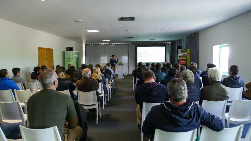 Syngenta apresenta Orondis® Ultra, uma solução inovadora para prevenir ...